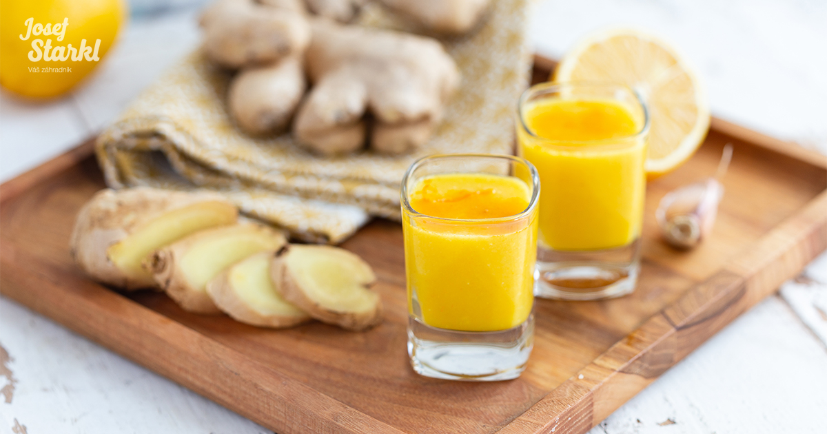 Domowy GINGER shot | Ogrodnik z Austrii | STARKL E-SKLEP