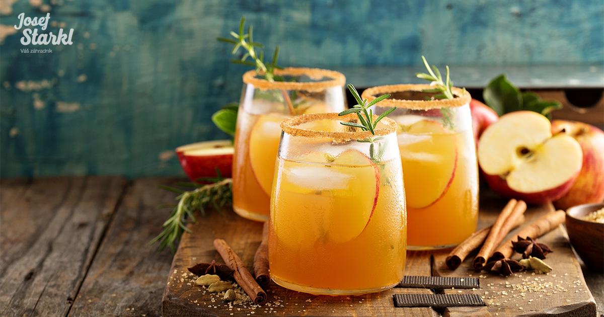 Zrób domowy cydr jabłkowy | Ogrodnik z Austrii | STARKL E-SKLEP