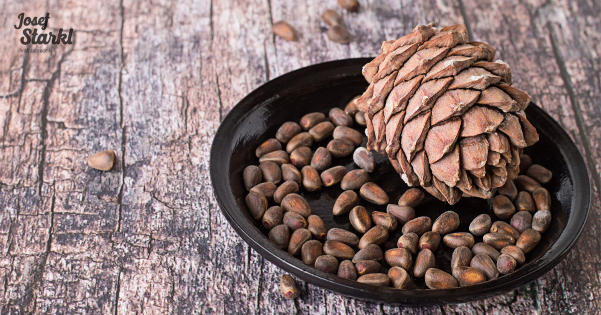 Inne najpiękniejsze rodzaje ogrodów, które Cię oczarują i zainspirują ...